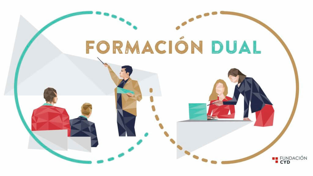 Fundación Cyd Formación Dual Universitaria En Euskadi Upv Ehu